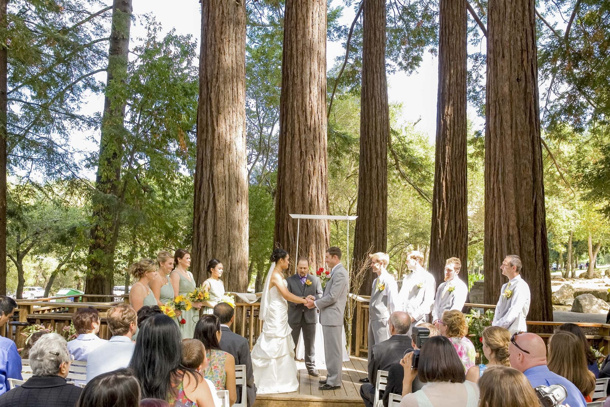18 Best Redwood Forest Wedding Venues - CA Redwood Venues