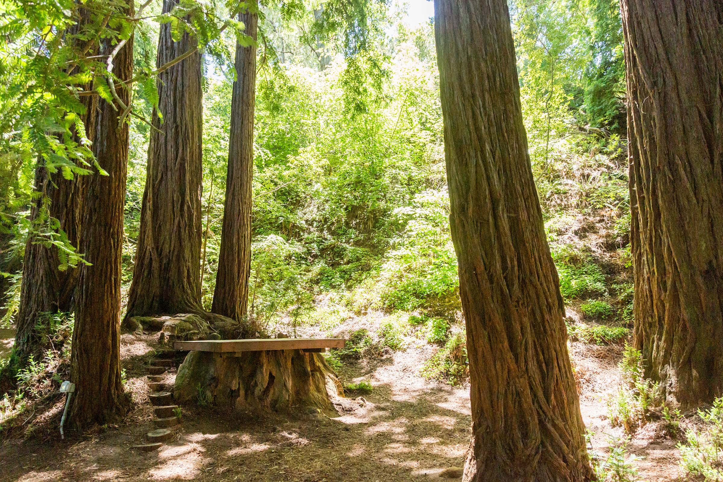 How to Plan an OVY Camp Wedding - (updated with 2024 Pricing)